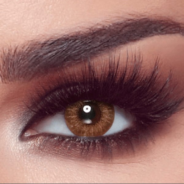 Bella Bella One Day Almond Brown-Bella-Brown-Hydrogel-Pack of 10 ...